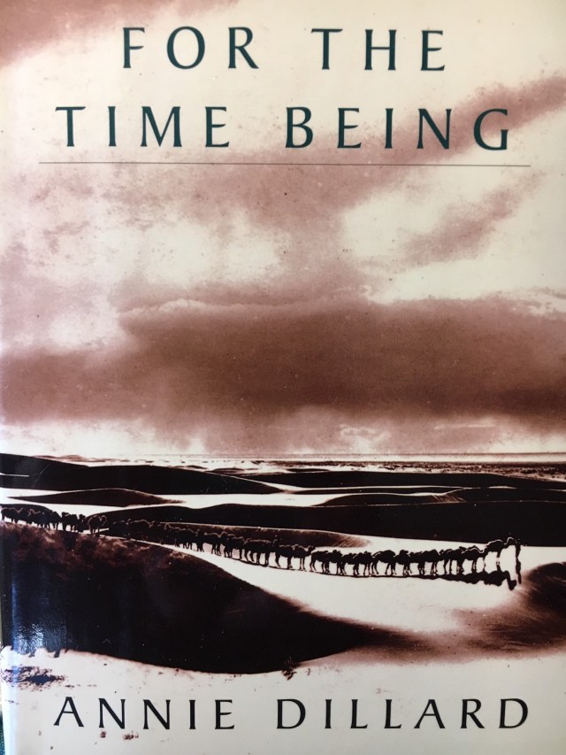 Annie Dillard’s Fierce Arithmetic | One Boy's Way of Knowing